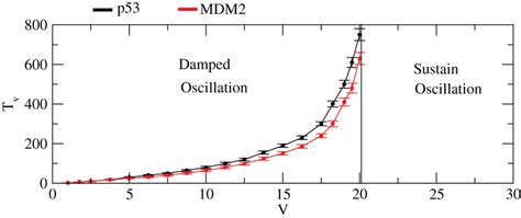 Phase Diagram On And Dynamics In Stochastic System Phase Diagram