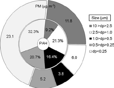 Mean Particulate Matter Pm Concentration In Each Size Range External Download Scientific