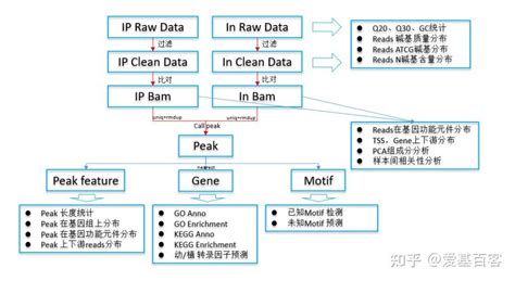 如何进行dap Seq的数据挖掘，筛选验证位点 知乎