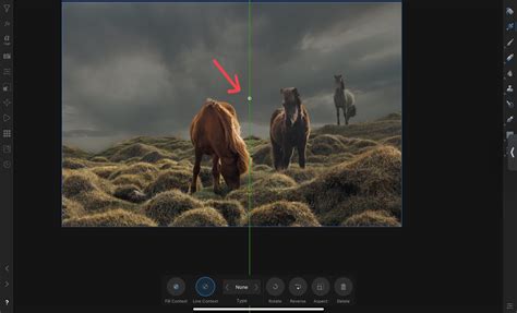 Resolved Thanks Lee Thorpe Fill Tool Gradient Fills Entire Screen