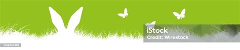 녹색 배경에 흰 잔디 뒤에 숨겨진 흰 토끼 귀와 나비의 3d 렌더링 3차원 형태에 대한 스톡 사진 및 기타 이미지 3차원 형태 계절 공휴일 Istock