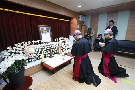 생애와 활동 프란치스코 교황 선종 로마의 교황들