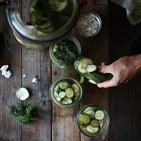 Free Pickling Fresh Cucumbers Image Download At Stockcake