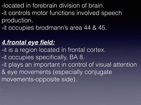 Cerebral Cortex Ppt Pdf Brain And Nervous System Disorders Diseases And Conditions Cerebral Cortex Ppt Pdf Brain And Nervous System Disorders Diseases And Conditions