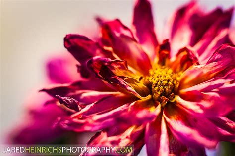 20130518 Img0024 Jared Heinrichs Flickr