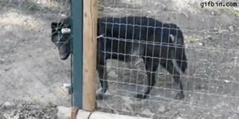 when i explain to the intern how he should build his sql query the coding love programmer