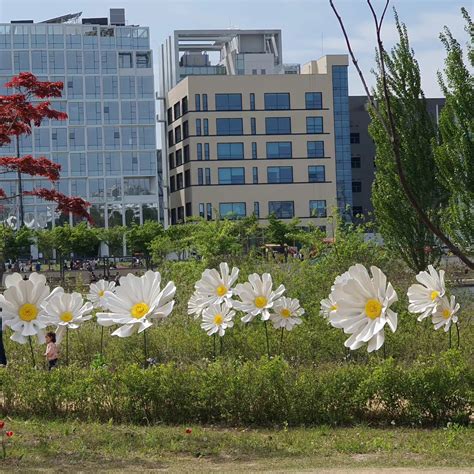 서울식물원 서울랜드 놀이공원 테마파크 디자인센스 초대형꽃 에바폼꽃 초대형리본 조명숙플라워