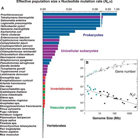 pdf the origins of genome complexity