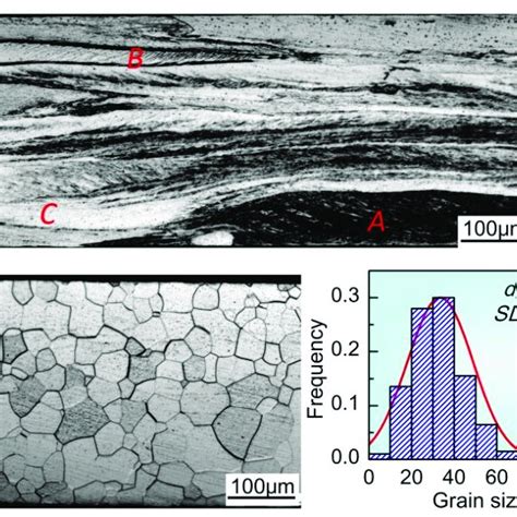 Pdf Effect Of Cold Rolling Process On Microstructure Texture And
