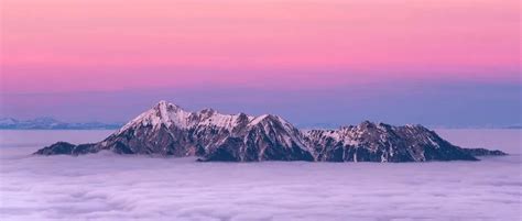 Fluent应用 析模界