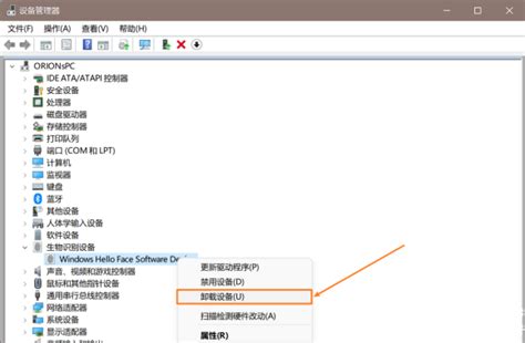 Win11面部识别用不了怎么办win11面部识别不可用的解决方法 纯净之家