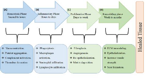 Figure 1 From Electrospun Sodium Alginatepolyethylene Oxide