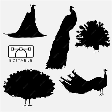 Premium Vector Vector Silhouette Peacock Feather Design Black
