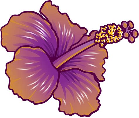 Polynesian Flower 36647451 Vector Art At Vecteezy