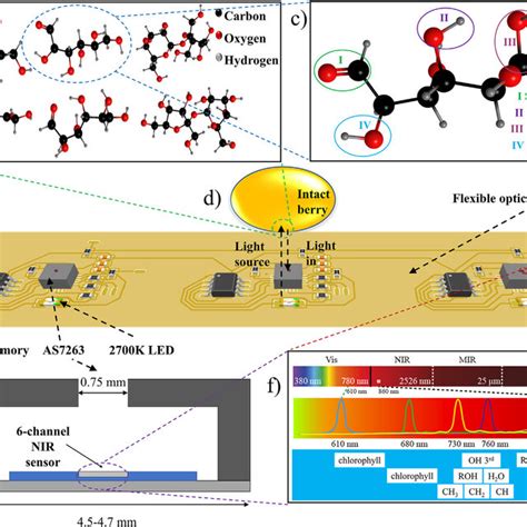 Principle Of Nir Monitoring Of Fruit Quality A 3d View Of The Download Scientific Diagram