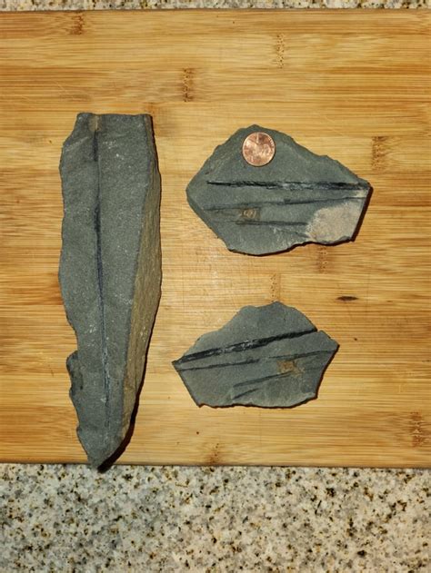 Stange Pattern In Mudstone Rgeology