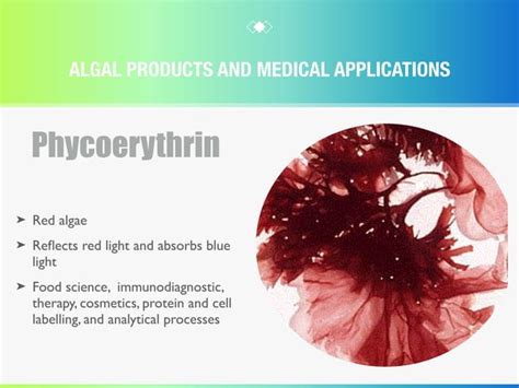 Algae Products And Their Medical Applications Pdf