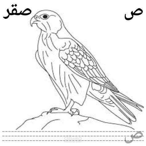 كتاب تلوين للأطفال مستقل