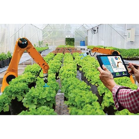 Lora Agriculture Sensors Application Potential
