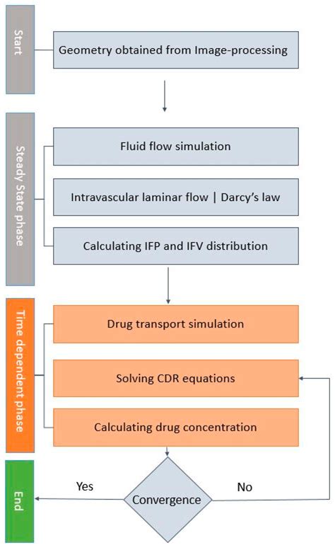 Flowchart Describing The Simulation Process Download Scientific Diagram