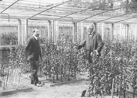S Graveland Klein Dorp Grote Geschiedenis