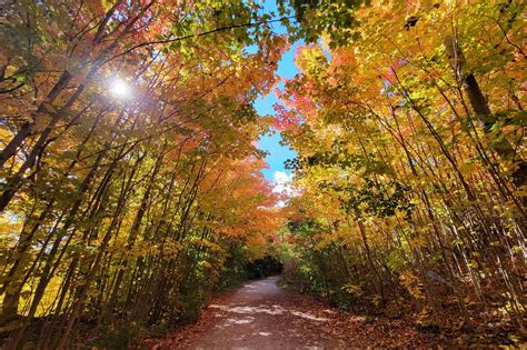 5 Beautiful Hiking Trails Where You Can See Fall Colours In Mississauga Insauga