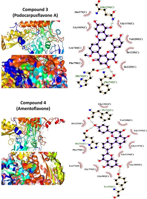 Binding Interactions Of Compounds 3 And 4 With Xo Download Scientific Diagram