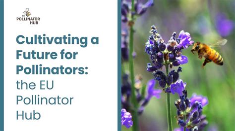 Cultivating A Future For Pollinators Through Data The Eu Pollinator