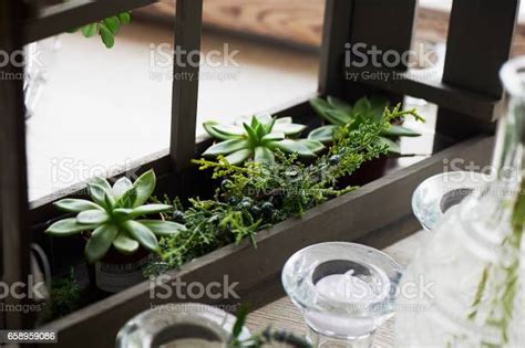 굽고 녹색으로 구성 아름 다운 유리 캔 들 홀더 미니 멀 한 구성 단순함과 신선 함의 감각 트리 및 화이트 감마 그린 0명에 대한 스톡 사진 및 기타 이미지 Istock