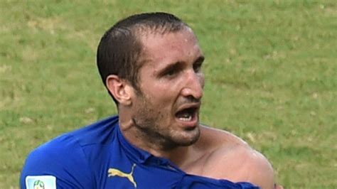 Luis Suárez Bite Giorgio Chiellini Says Ban Is Excessive Huffpost Uk Sport