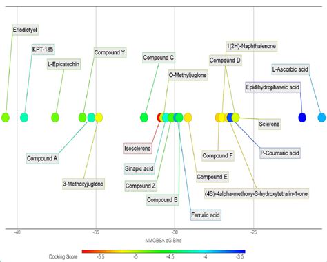 Graphical Representation Of Docking Score And Mmgbsa Dg Binding Of Download Scientific Diagram