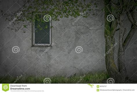 Arty Wall Window And Tree Stock Image Image Of Card 68763757