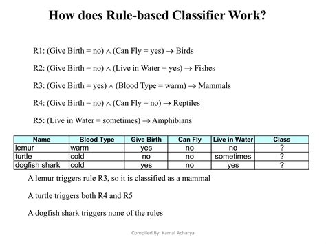 Classification Techniques In Data Mining Pptx Technology And Computing