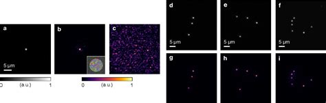 Figure 2 From Generalized Phase Conjugation For Incoherent Light In Complex Media Semantic Scholar