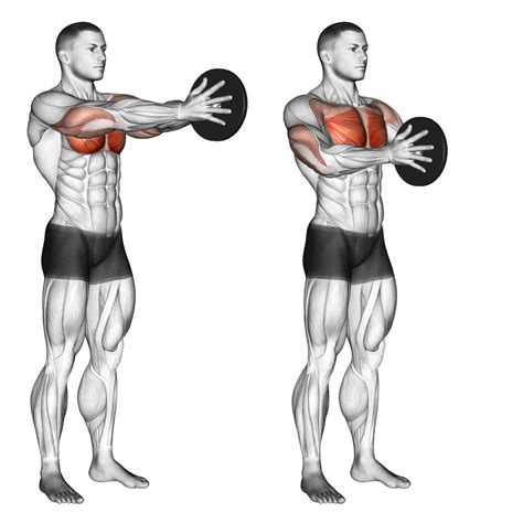 Svend Press Benefits Muscles Worked And More Inspire Us