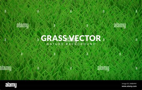 Green Grass Background Texture Eps File Vector Design Stock Vector