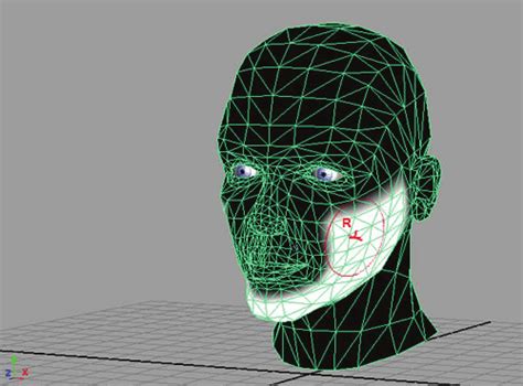 Cluster Weights Influence As Shown In The Environment Download Scientific Diagram