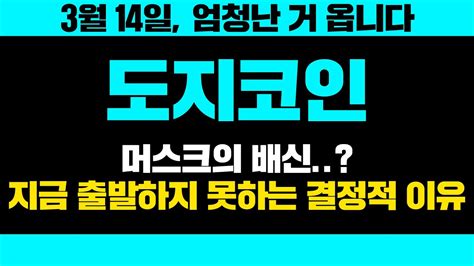 3월 14일 엄청난 거 옵니다 도지코인 머스크의 배신 지금 출발하지 못하는 결정적 이유도지코인 도지코인가격 도지