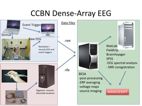 Ppt Electroencephalography Powerpoint Presentation Free Download Id1977554