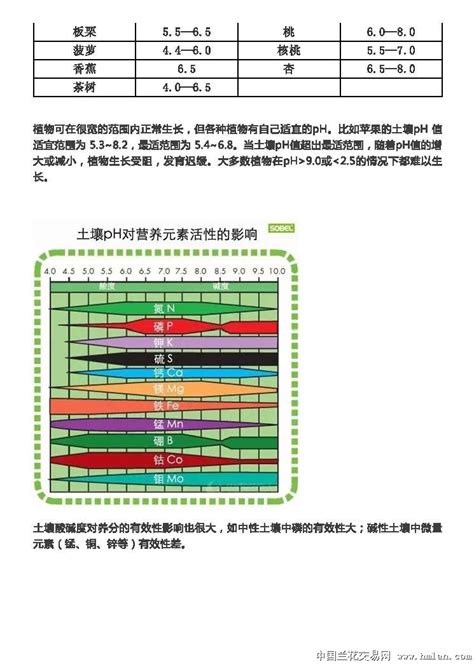中国土地酸碱度分布图 土地利用类型分布图 分布图 大山谷图库
