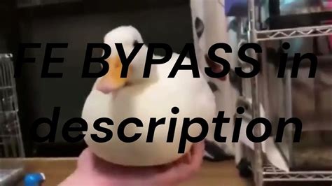Fe Bypass In Description Youtube