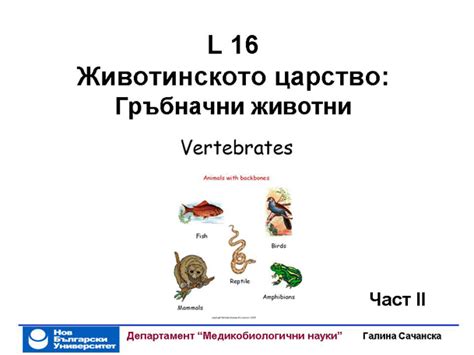418 Животинско царство Гръбначни животни Земноводни и влечуги