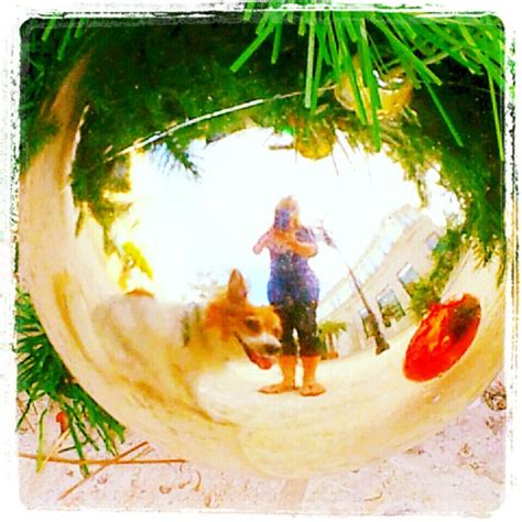 Massing Pr Llc The Agency Alternative Chief Muse Officer Directing