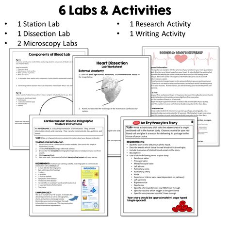 Cardiovascular System Unit Suburban Science
