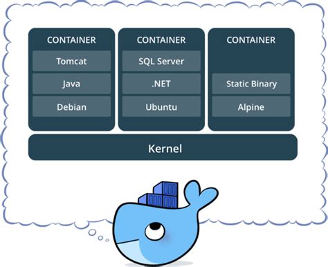 docker介绍 csdn博客