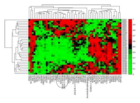 Hierarchical Clustering Gene Expression Of A 50 Gene Signature Showing