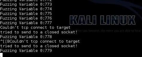 Hack Like A Pro How To Build Your Own Exploits Part 3 Fuzzing With Spike To Find Overflows