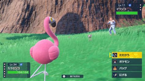 ポケモンsv／未進化族のカラミンゴが異常に強い種族値500 レベル5で出てきて序盤のポケモンをなぎ倒していく｜とりもげcom