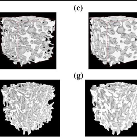 Foam Like Morphology With Sample Edge Length 20 Mm A D 18 Fibrous
