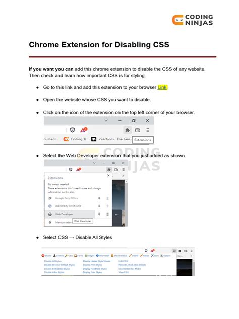 02 Extension For Disabling Css Pdf
